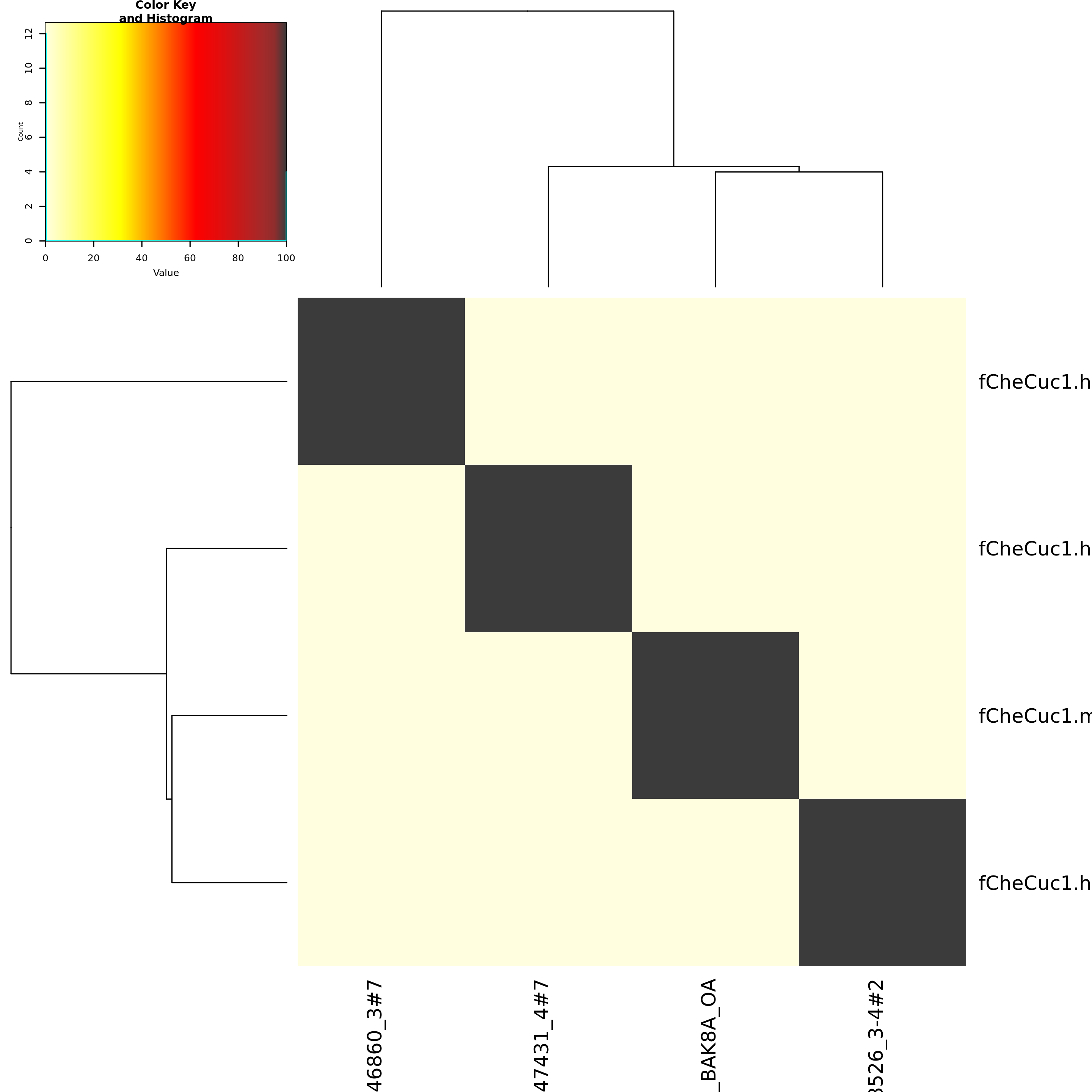 Tree of Life QC: Species Report - Chelidonichthys cuculus